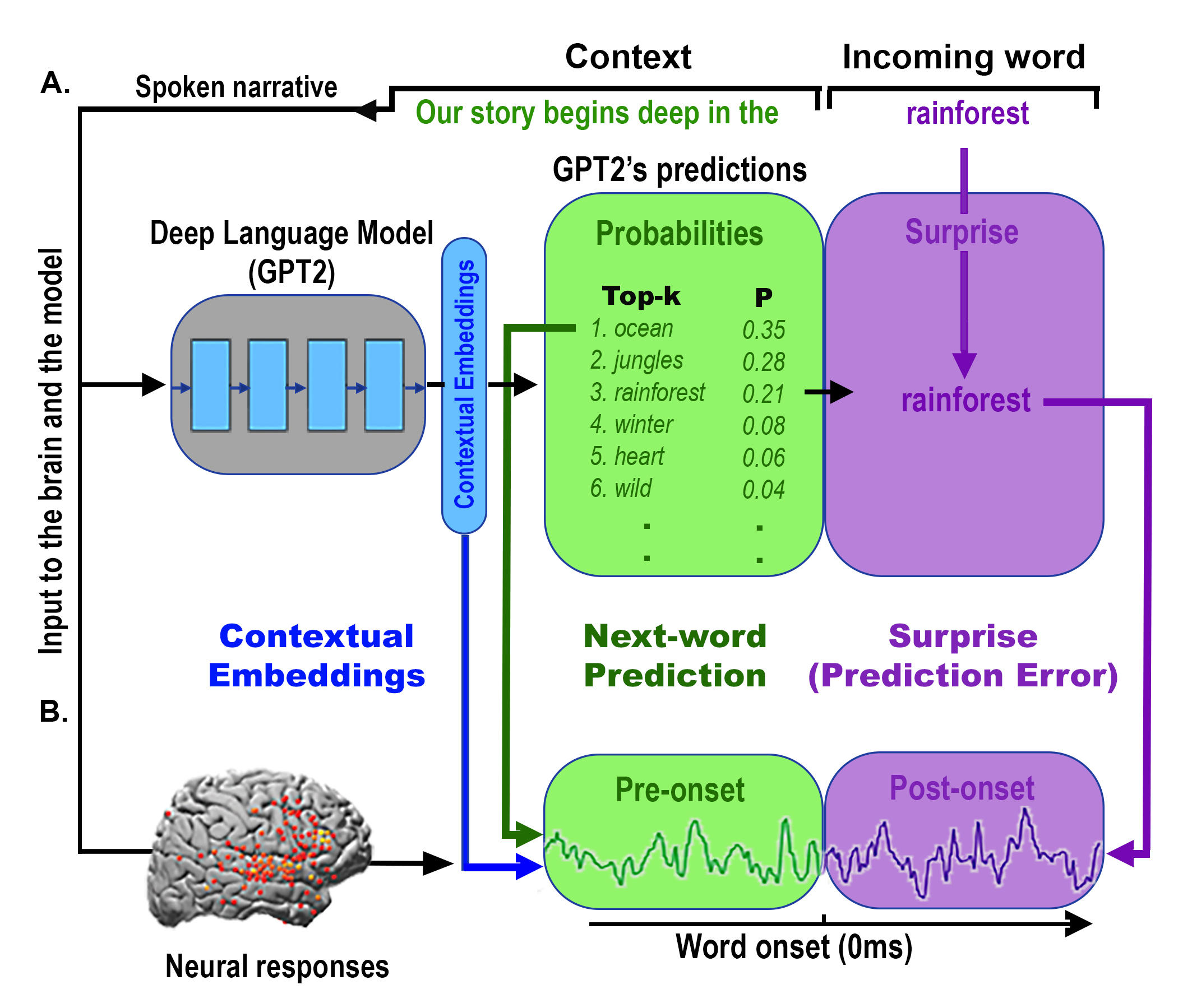 Research | Hasson Lab
