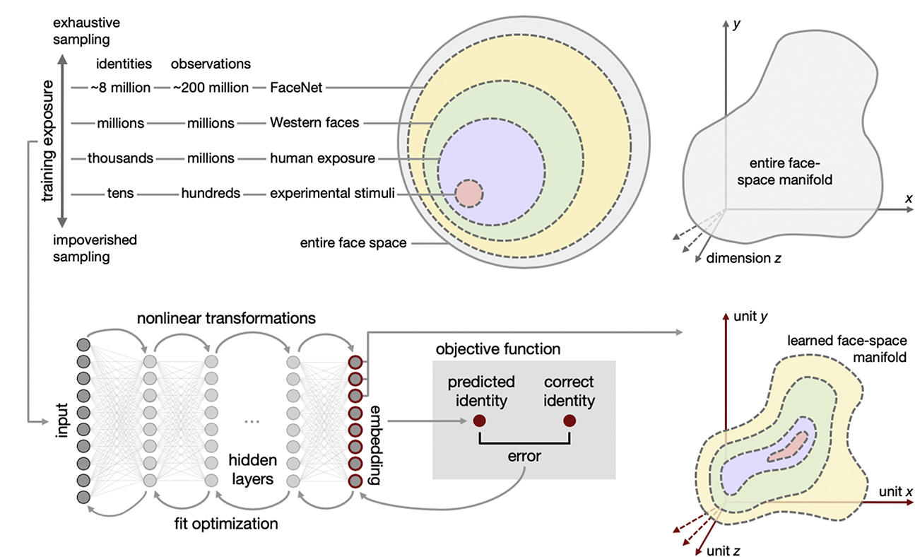 Research | Hasson Lab